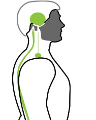 back pain cure austin texas | Family Health Chiropractic